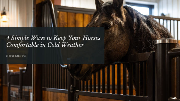 4 Ways to Increase Comfort in the Winter - American Stalls