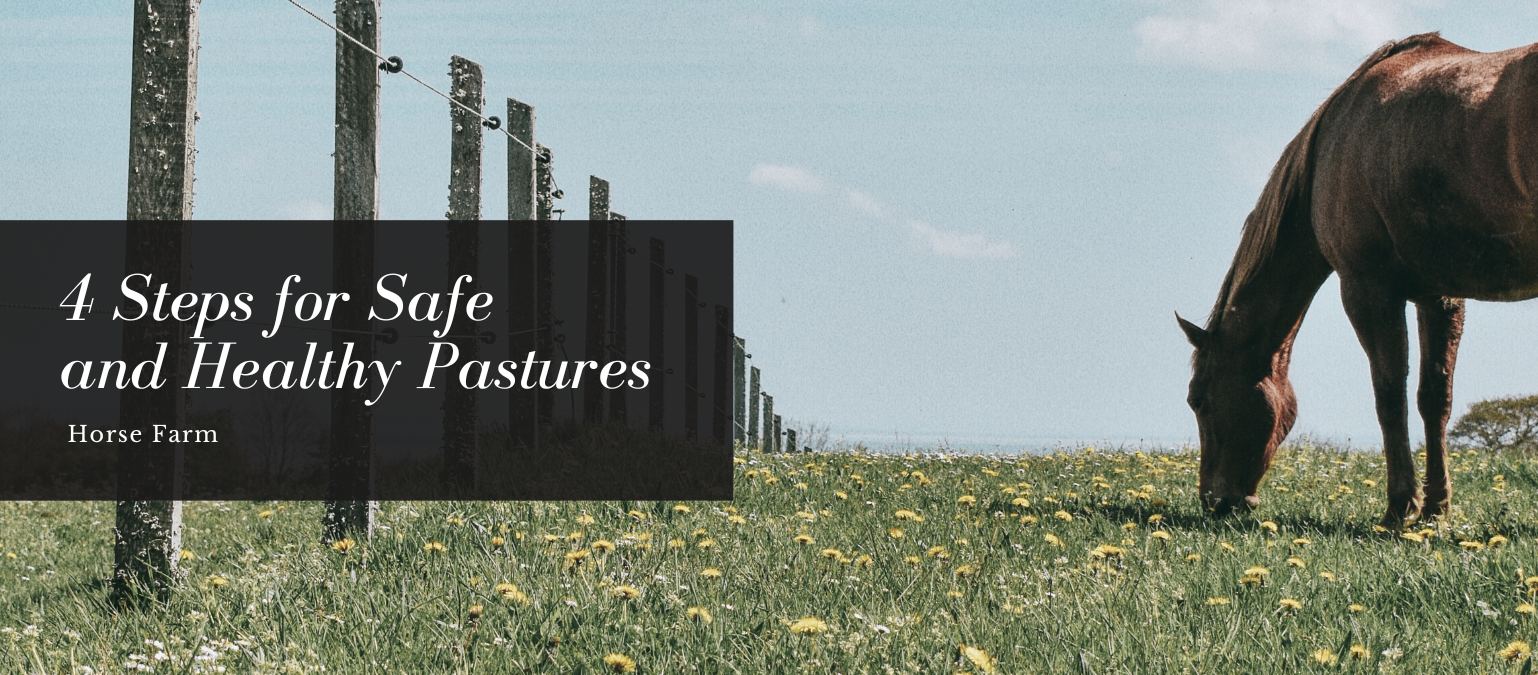 4 Steps for Safe and Healthy Pastures - American Stalls