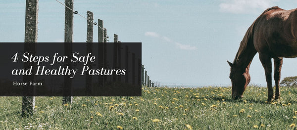 4 Steps for Safe and Healthy Pastures - American Stalls