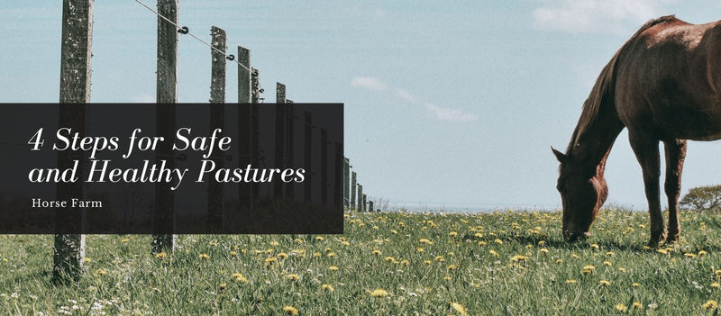 4 Steps for Safe and Healthy Pastures - American Stalls