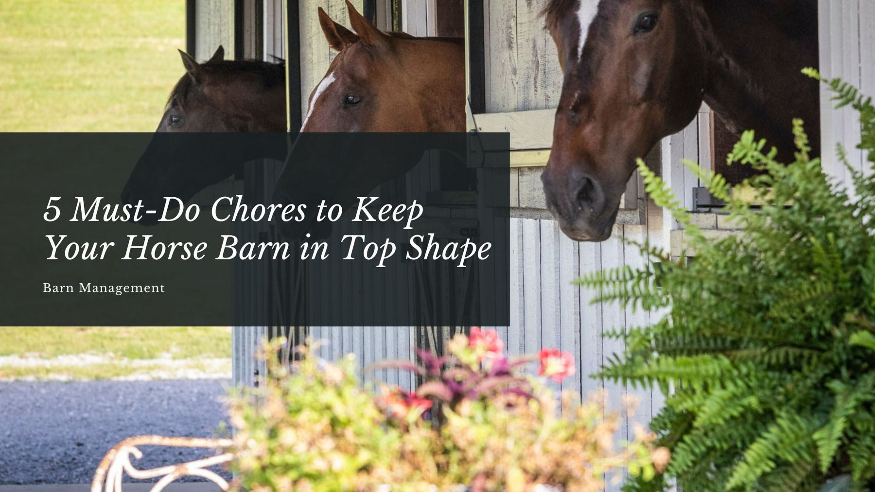 Plan Your Spring Barn To-Do List - American Stalls