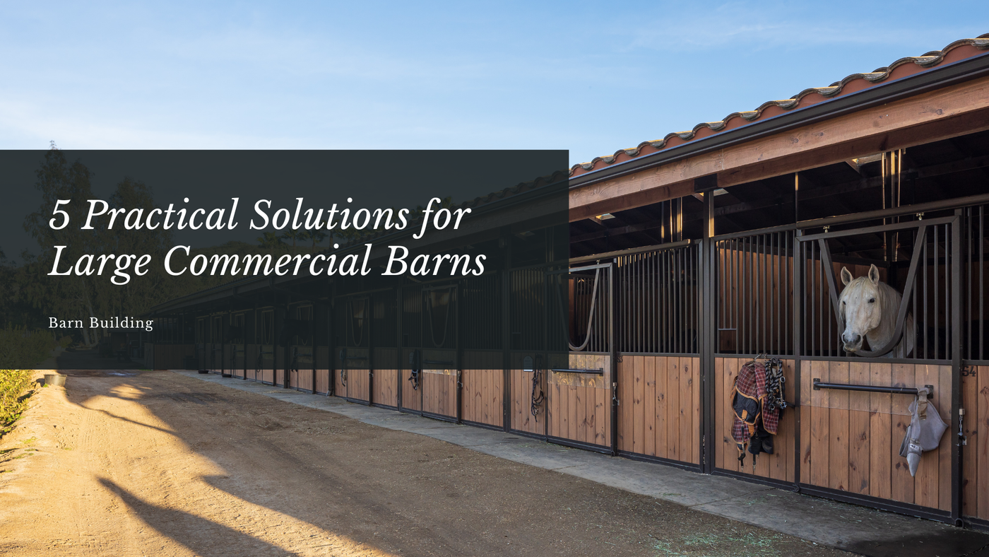 5 Practical Solutions for Large Commercial Barns - American Stalls