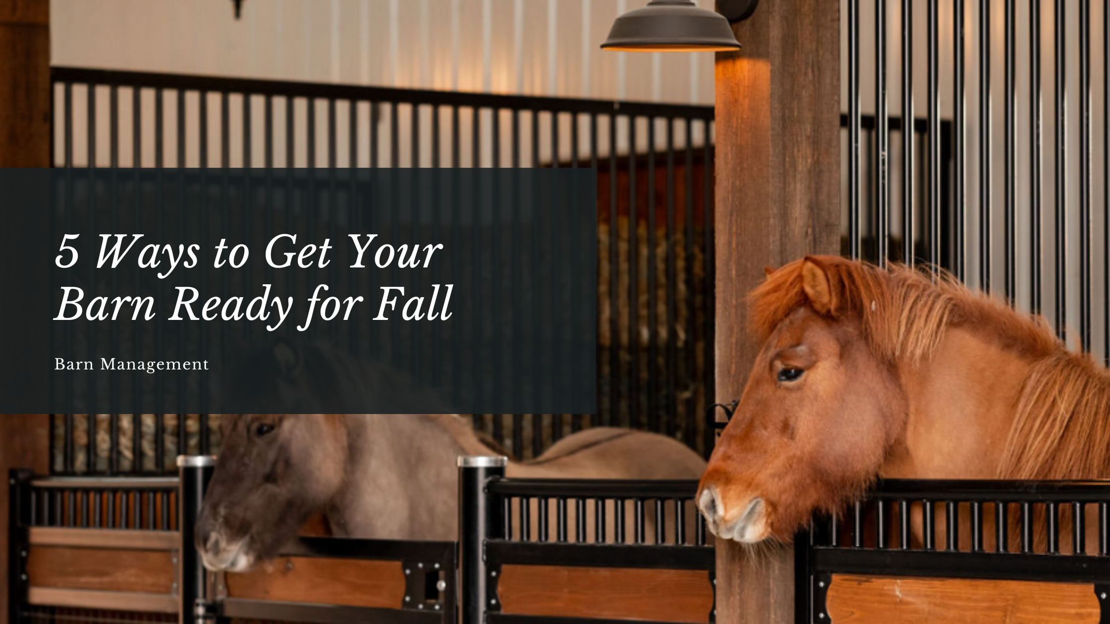 5 Ways to Get Your Barn Ready for Fall - American Stalls