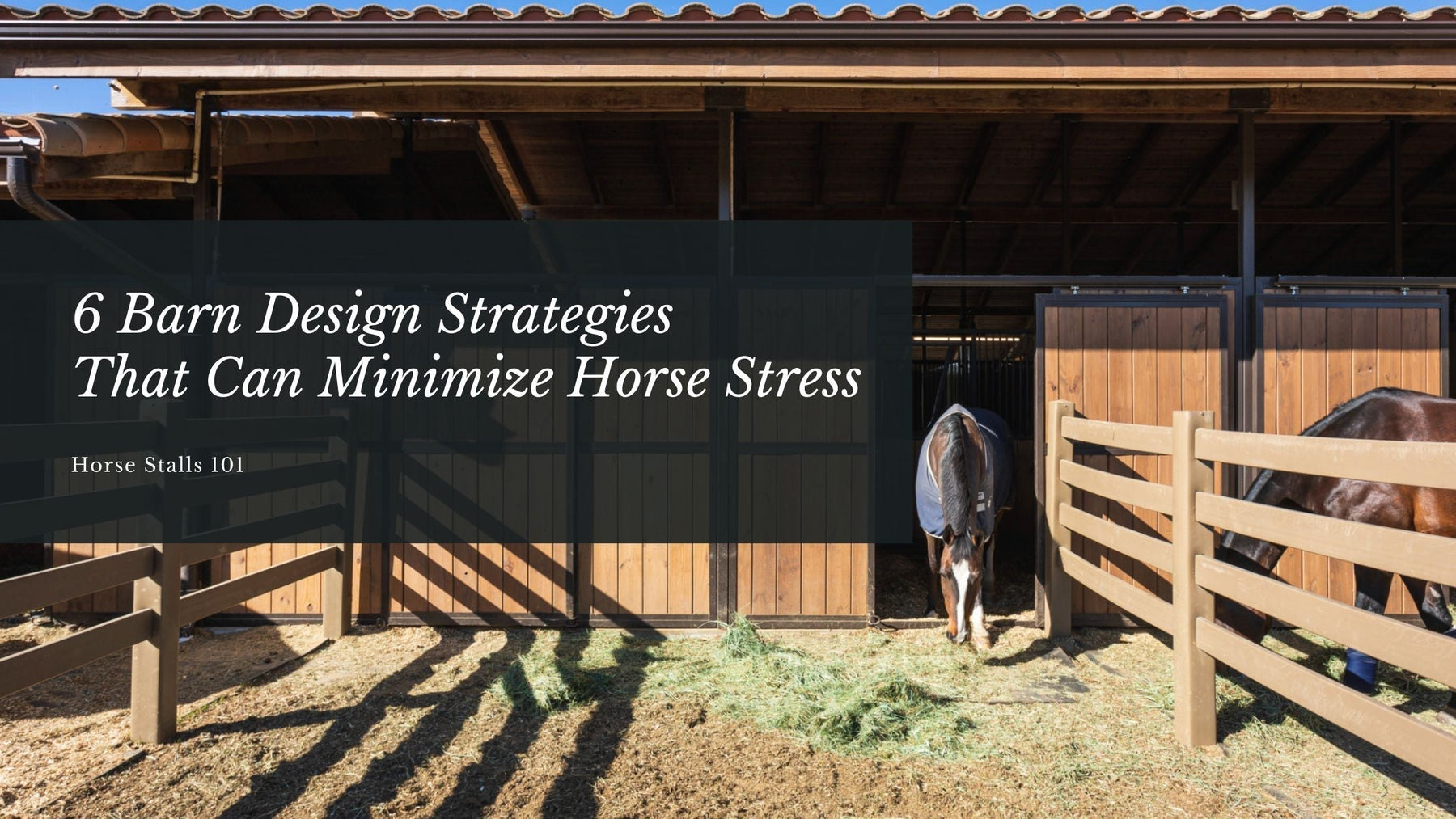 6 Barn Design Strategies That Can Minimize Horse Stress - American Stalls