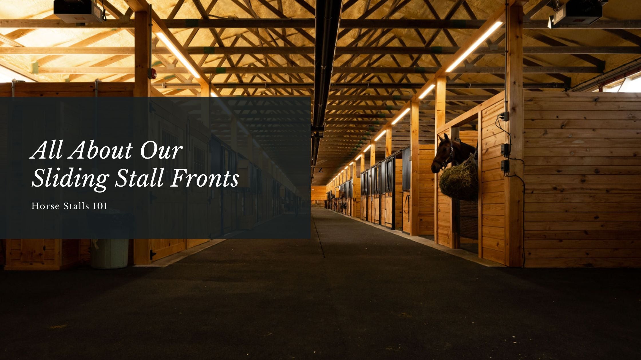 All About Our Sliding Horse Stall Fronts - American Stalls