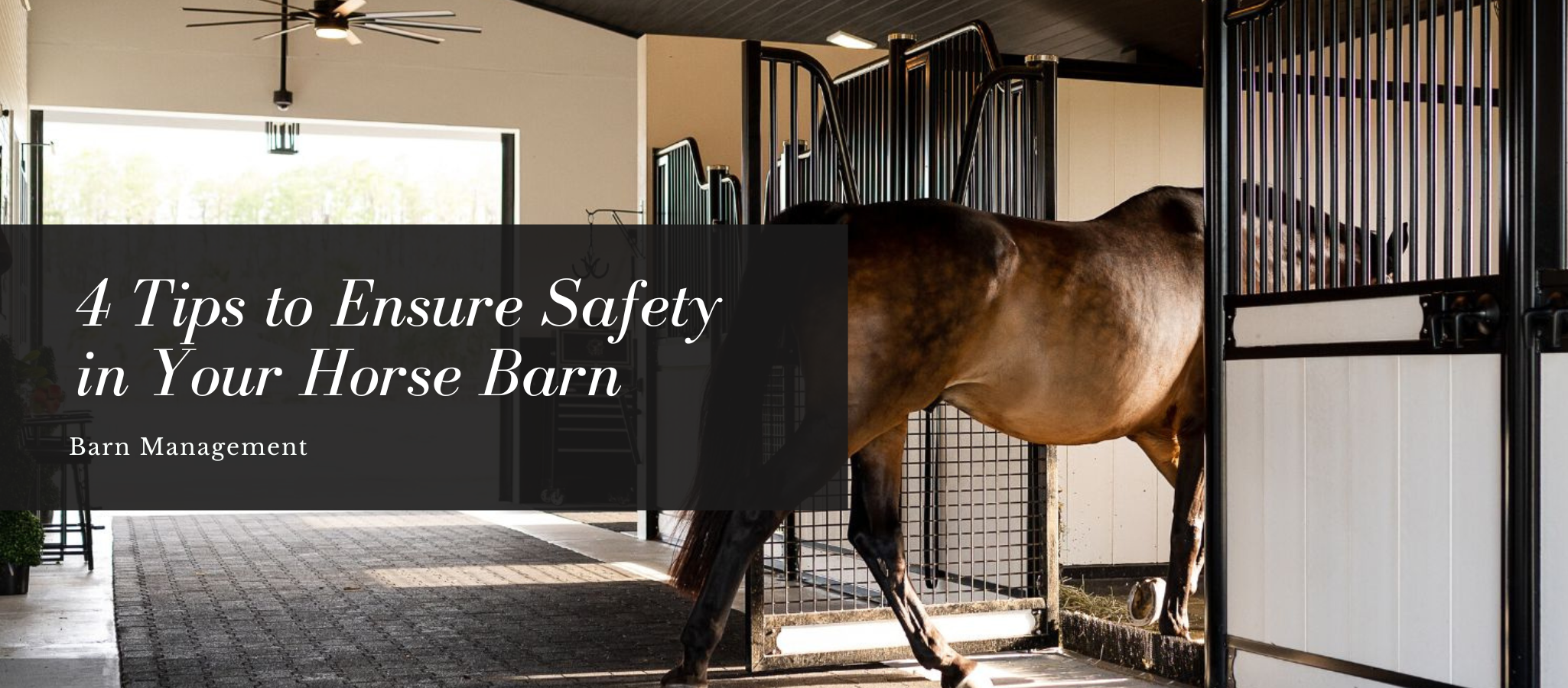 4 Tips to Ensure Safety in Your Horse Barn - American Stalls