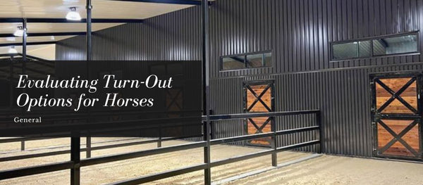 Evaluating Turn-Out Options for Horses - American Stalls