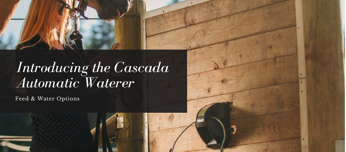 Upgrade Your Horse Hydration - The Cascada Automatic Waterer - American ...