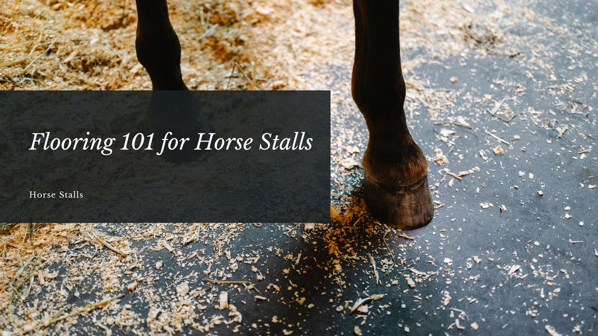 Flooring 101 for Horse Stalls - American Stalls