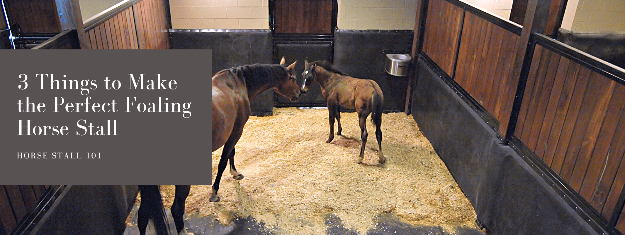 3 Ways to Make a Safe & Comfortable Foaling Horse Stall - American Stalls