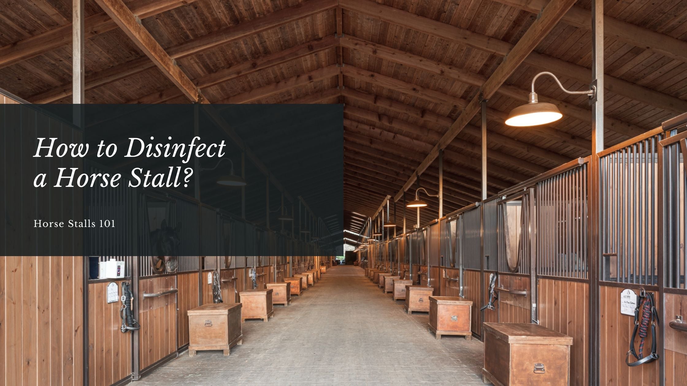 How to Disinfect a Horse Stall? - American Stalls