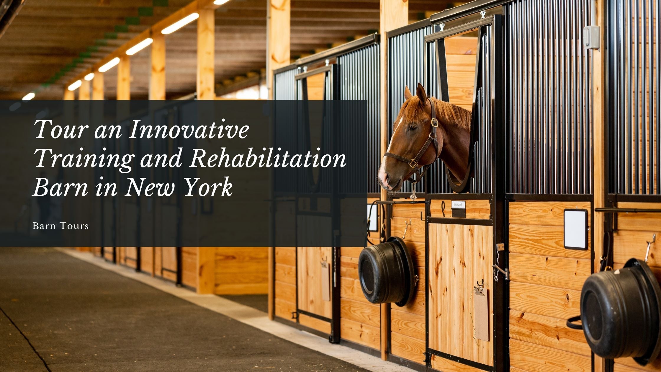 White Oak Farm 28-Stall Barn Tour - American Stalls