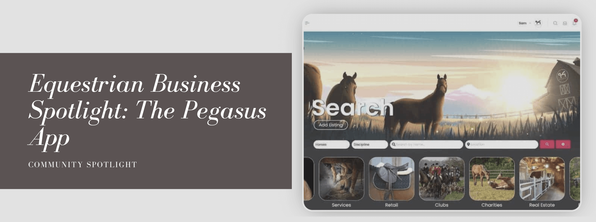Small Business Spotlight: The Pegasus App - American Stalls