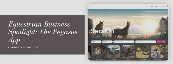 Small Business Spotlight: The Pegasus App - American Stalls