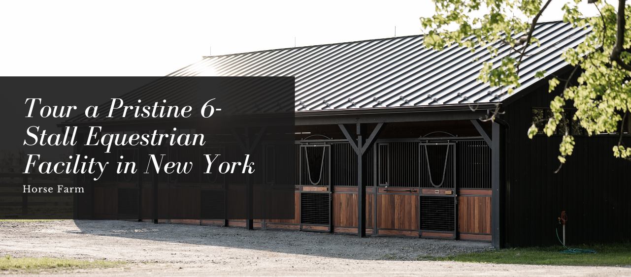 Explore a Pristine 6-Stall Equestrian Facility - Barn Tour - American ...