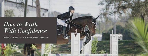 Tips on How to Enter the Ring as a Confident Equestrian - American Stalls