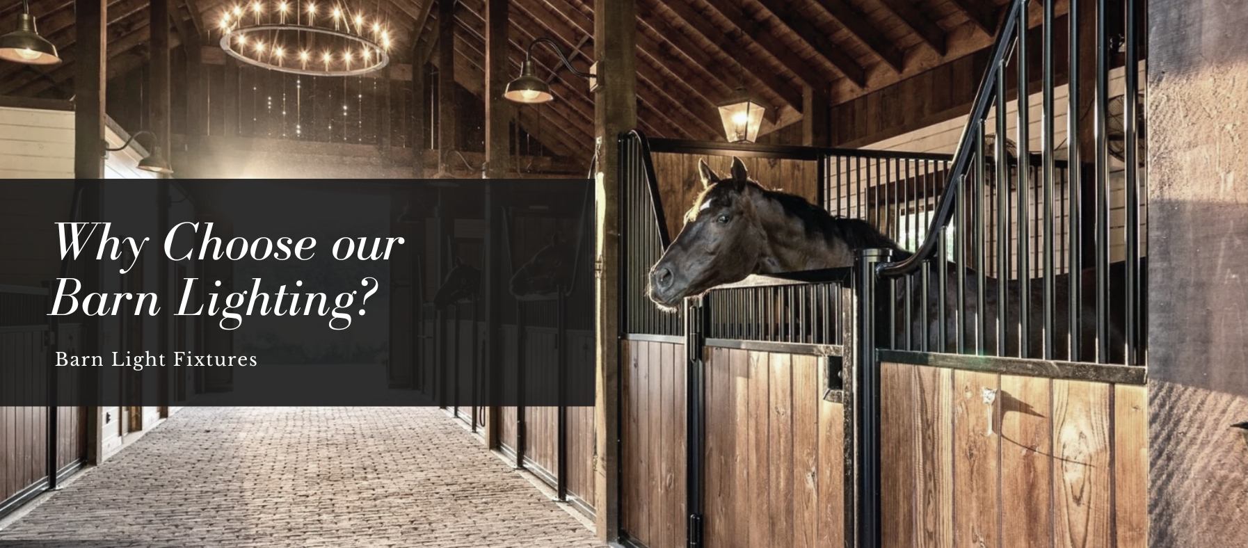 Why Choose our Barn Lights for Your Barn? - American Stalls