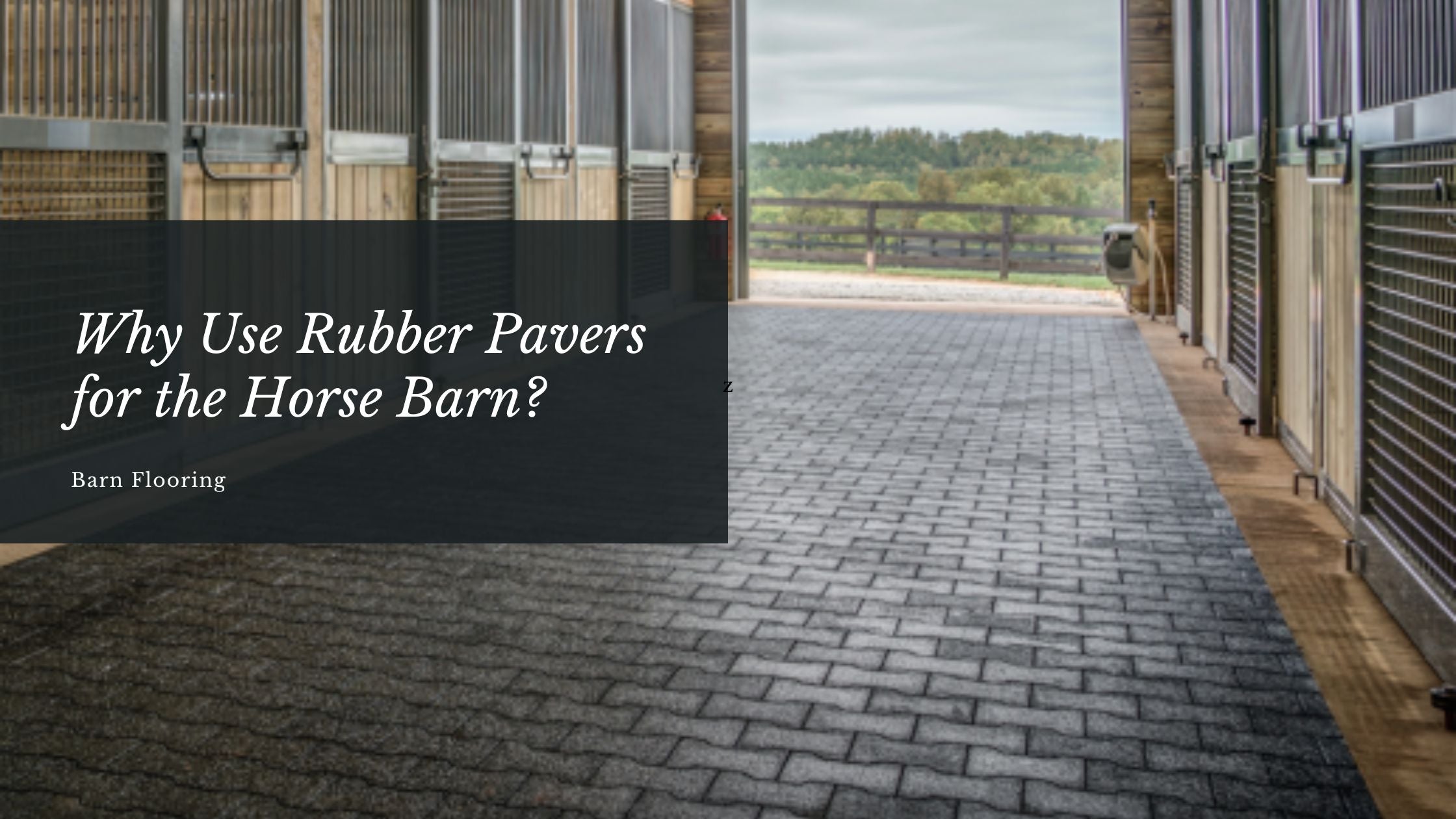 Why Use Rubber Pavers for the Horse Barn? - American Stalls