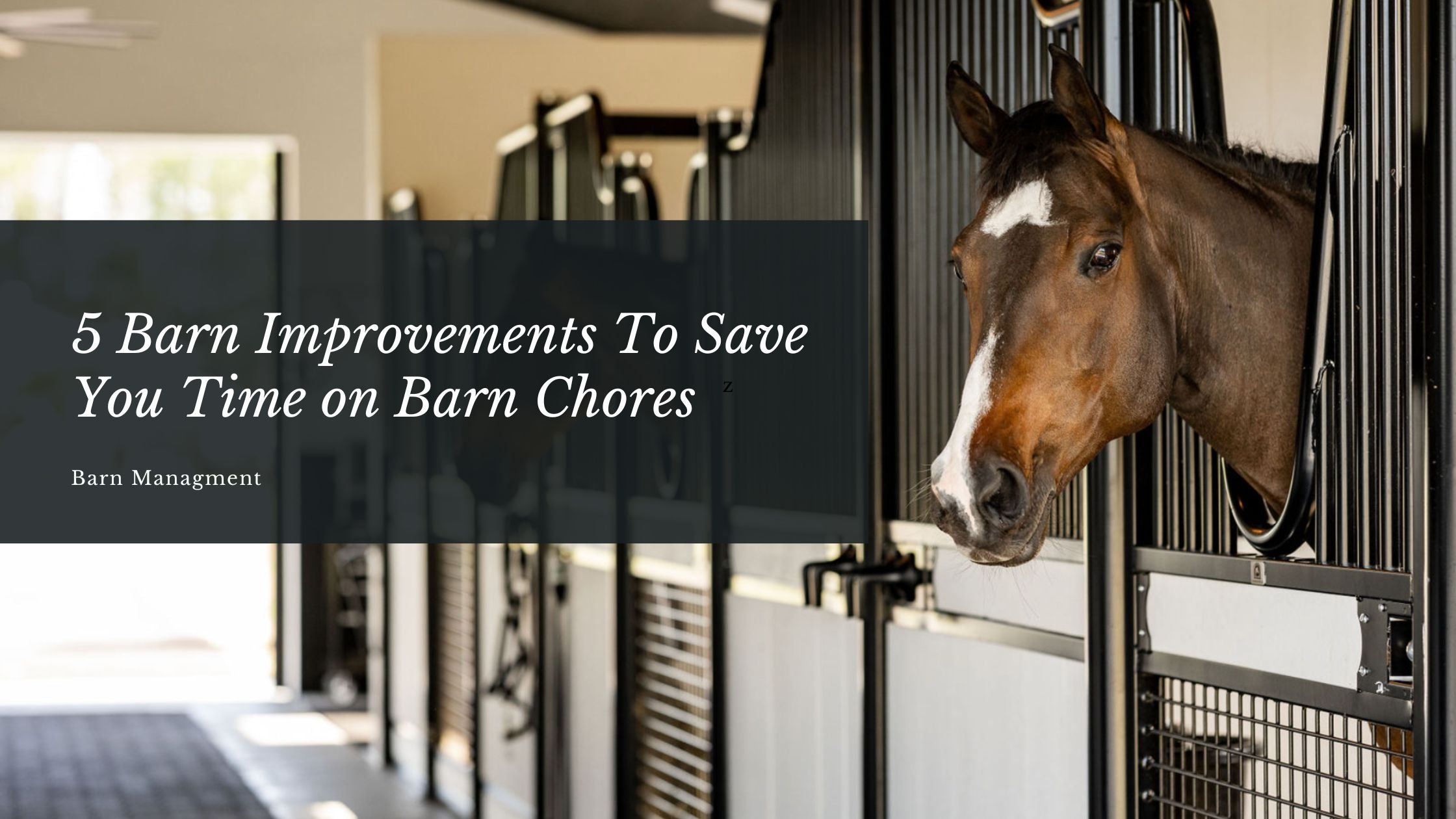 5 Barn Improvements To Save You Time on Barn Chores - American Stalls