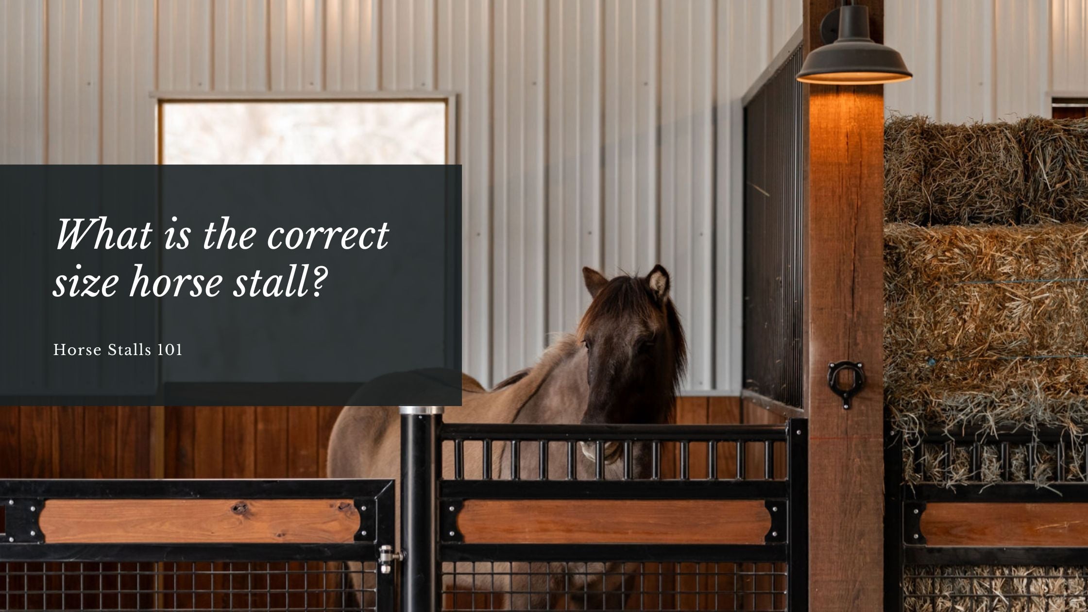 What is the correct size horse stall? - American Stalls