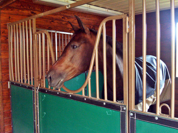 Elite Show Series | Portable Horse Stalls - American Stalls