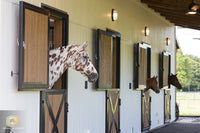 Horse Barn Dutch Doors | Made in the USA | American Stalls