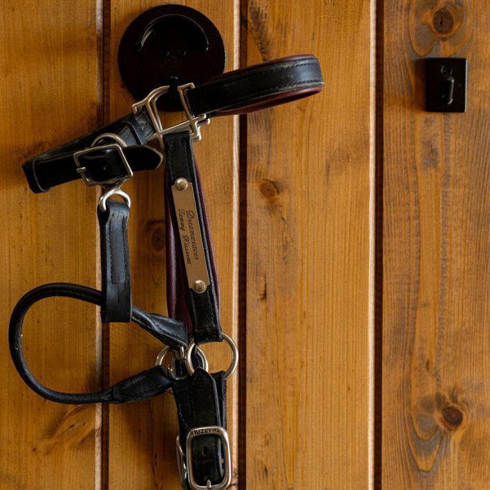 Brass Bridle Hook for Horse Tack Rooms | American Stalls