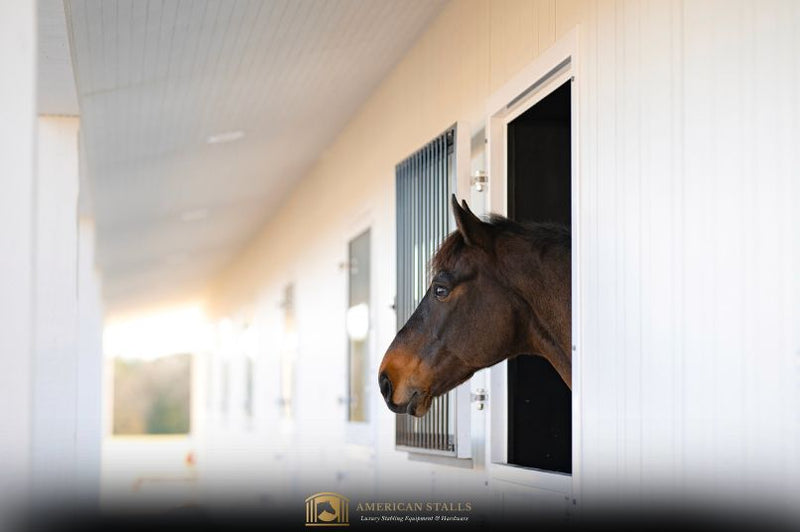 Horse Barn Dutch Doors | Made in the USA | American Stalls