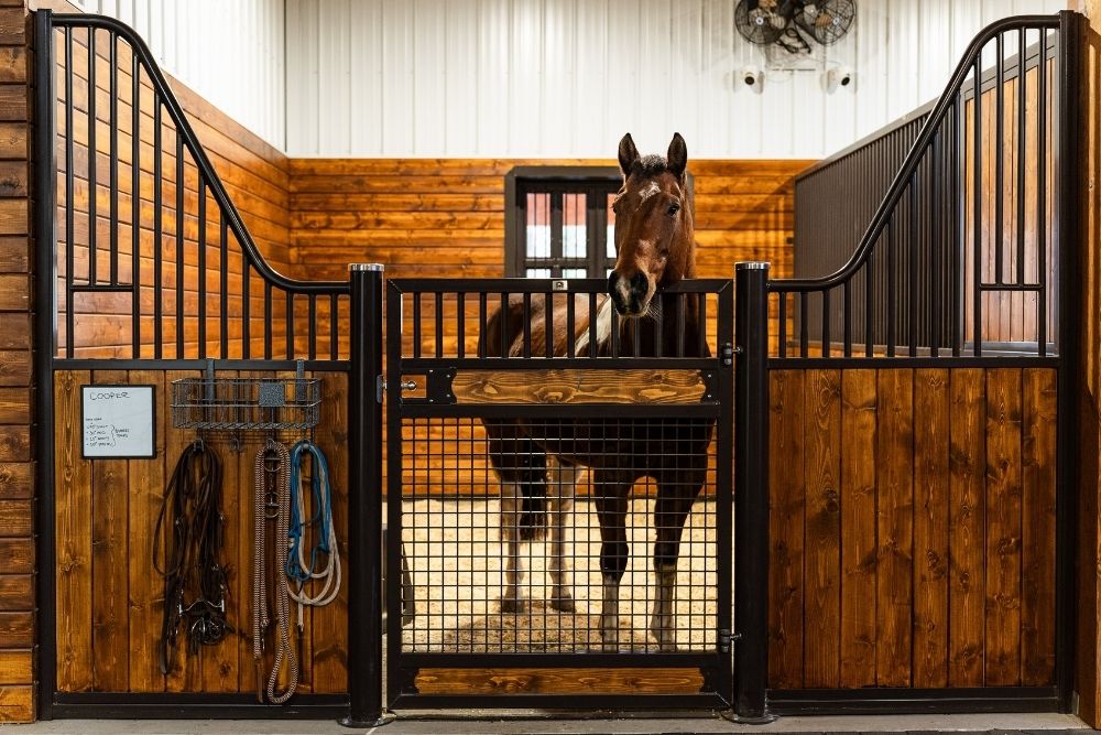European Horse Stall Fronts - 100% US Made | American Stalls