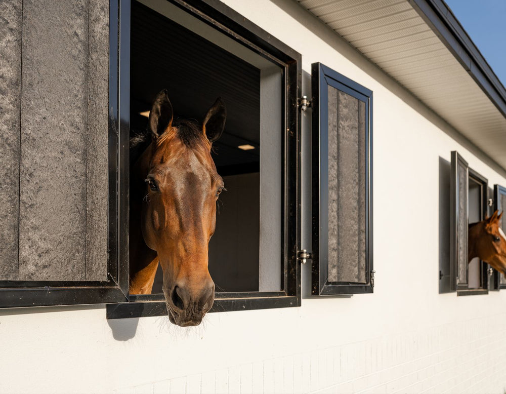 Horse Barn Windows | 100% Made in the USA | American Stalls