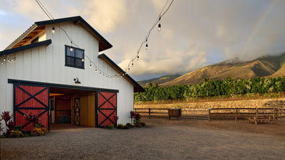 Horse Barn Entry Doors | Made to Order | American Stalls