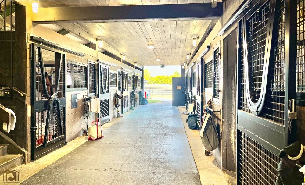 Horse Stall Doors | American Stalls - Quality & Custom