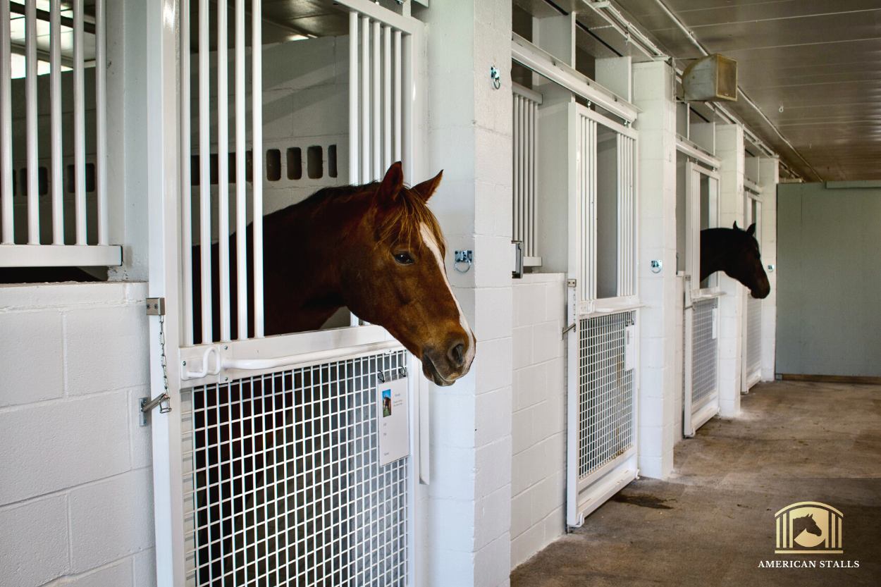 Horse Stall Doors | American Stalls - Quality & Custom