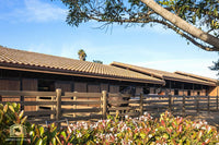 HDPE Horse Fencing | Plastic Horse Fencing | American Stalls