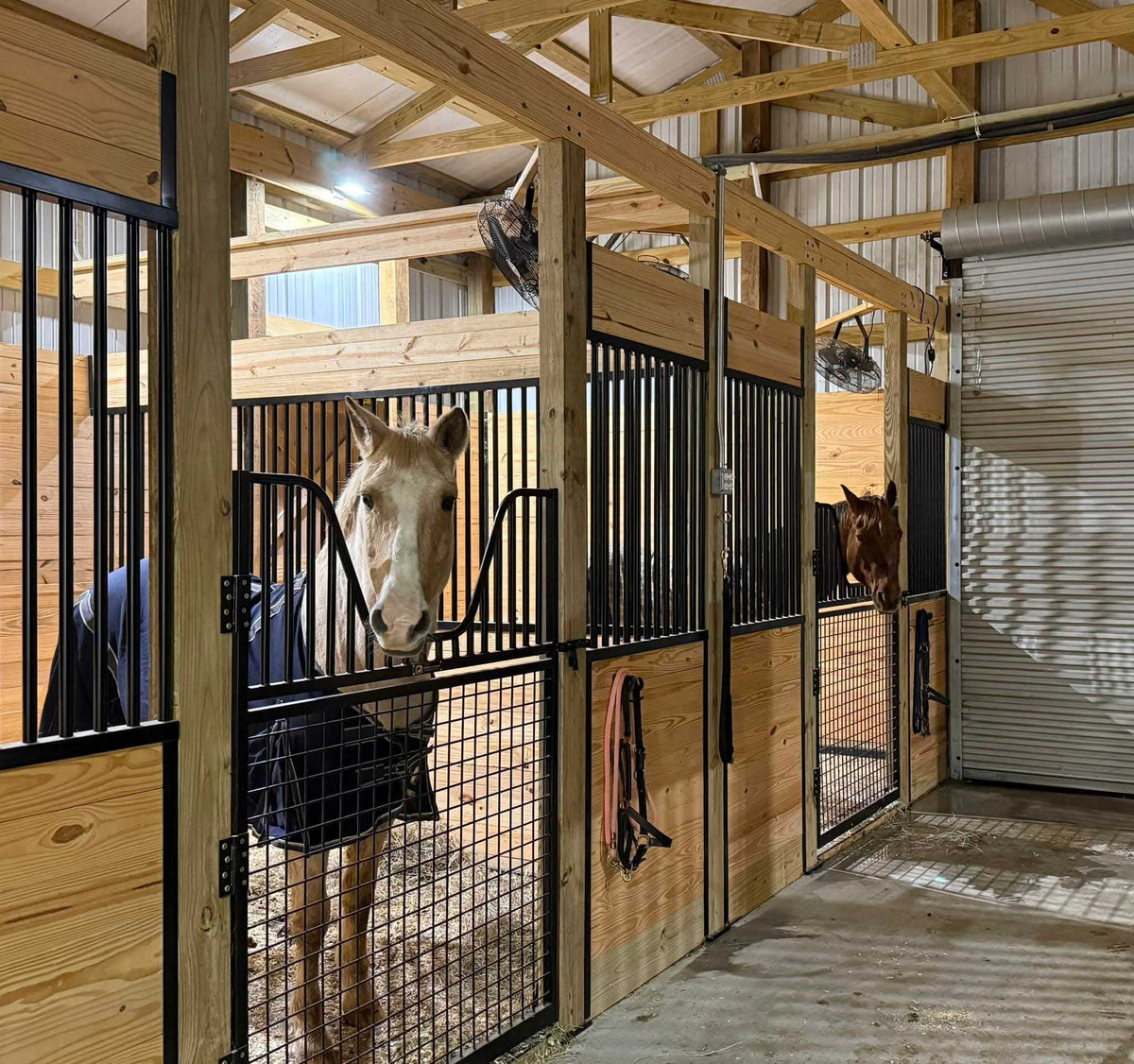 Full Sized Horse Stall Gates | American Stalls