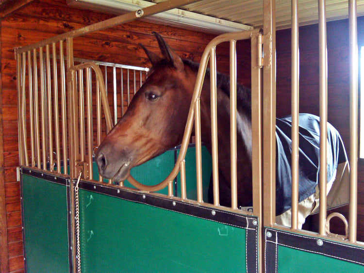 Portable Horse Stalls | Built to Order | American Stalls