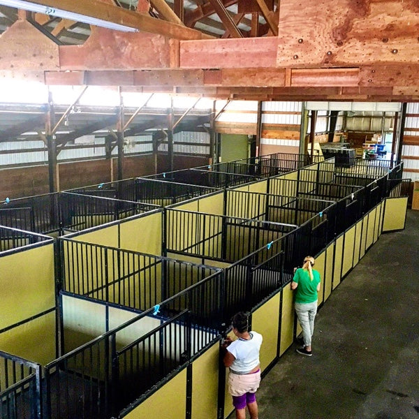 Premium Portable Horse Stalls - US Made - American Stalls